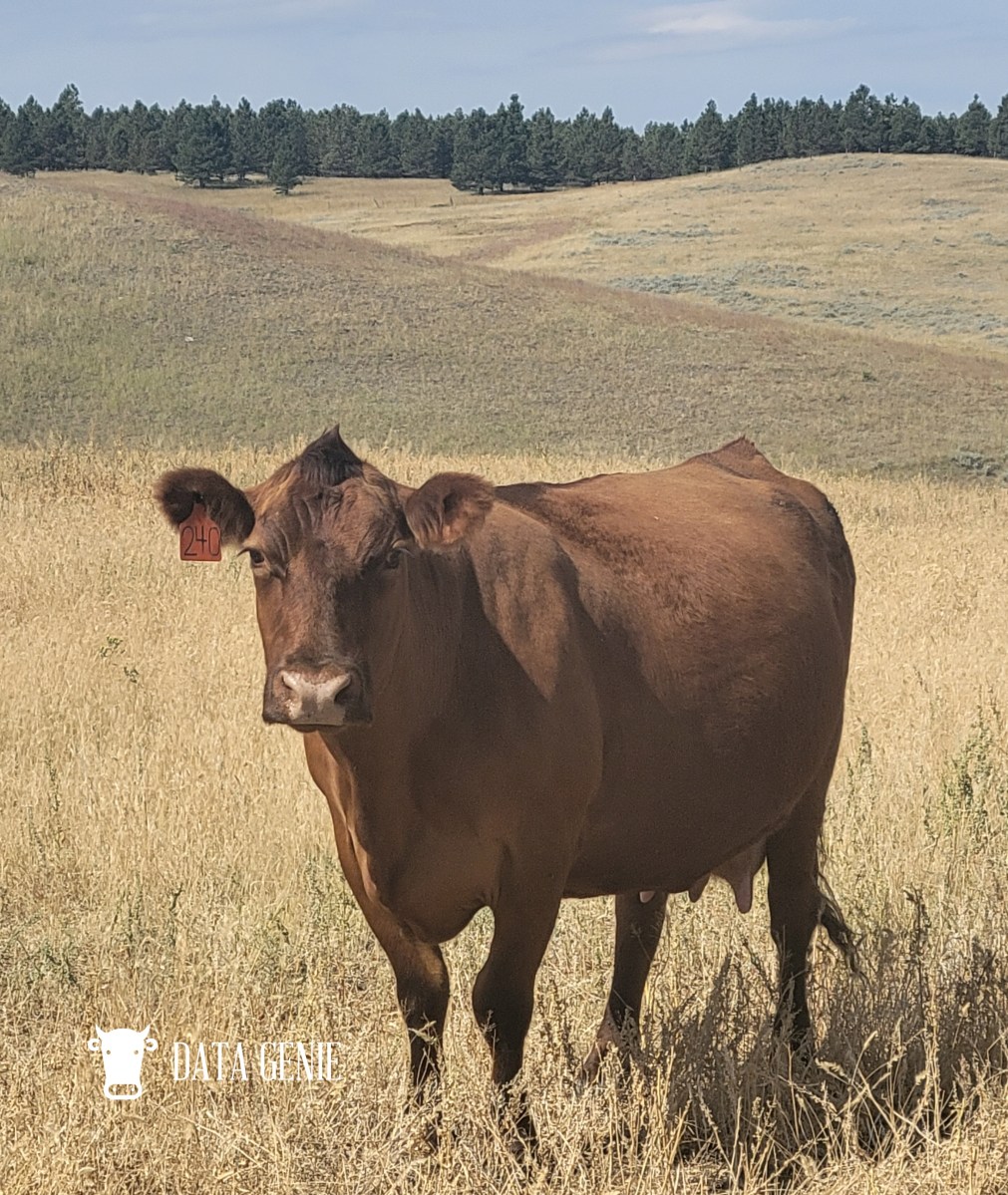 Milk EPD – Does it Work?